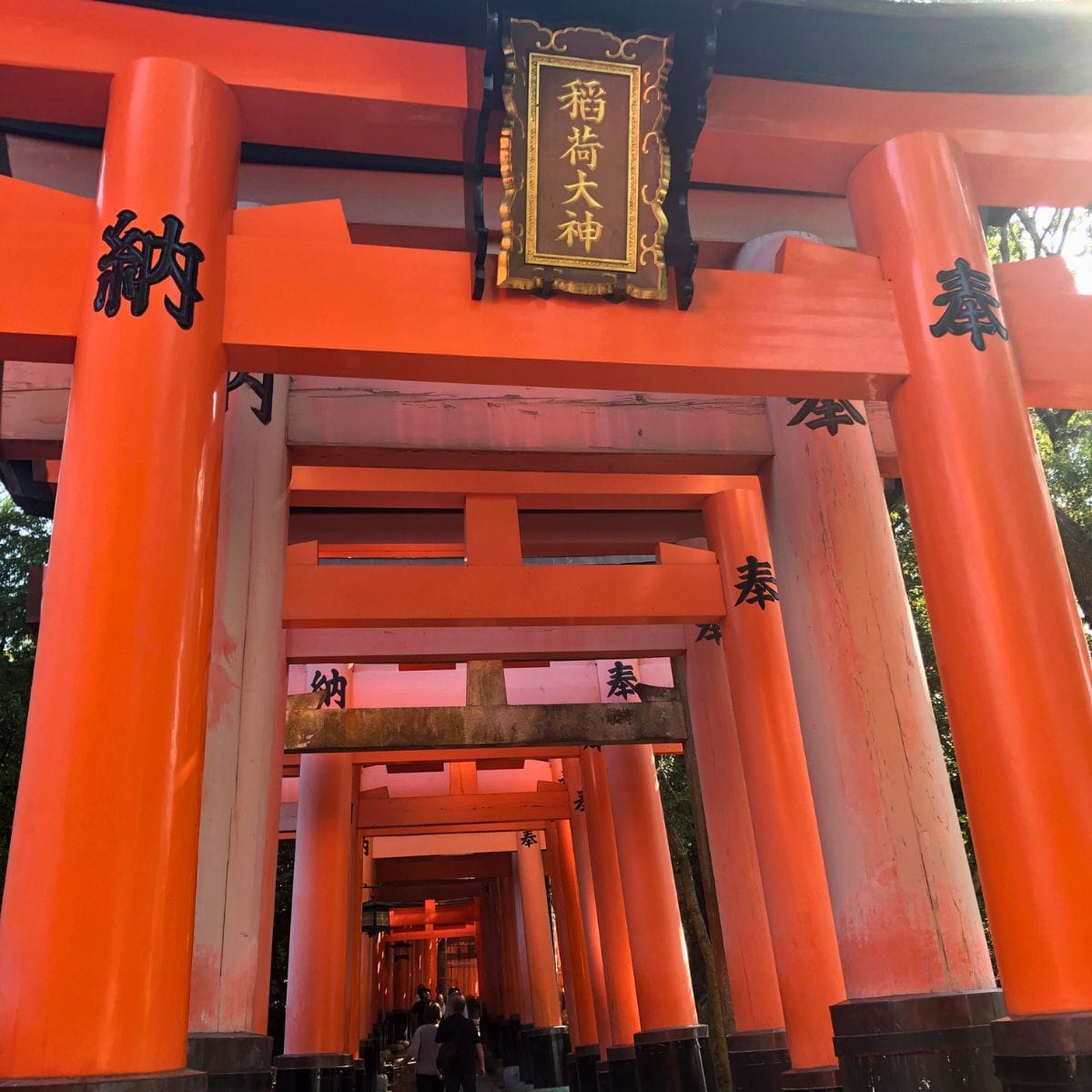 Fushimi Inari to Tōfuku-ji – Scenic Kyoto Trail Walk