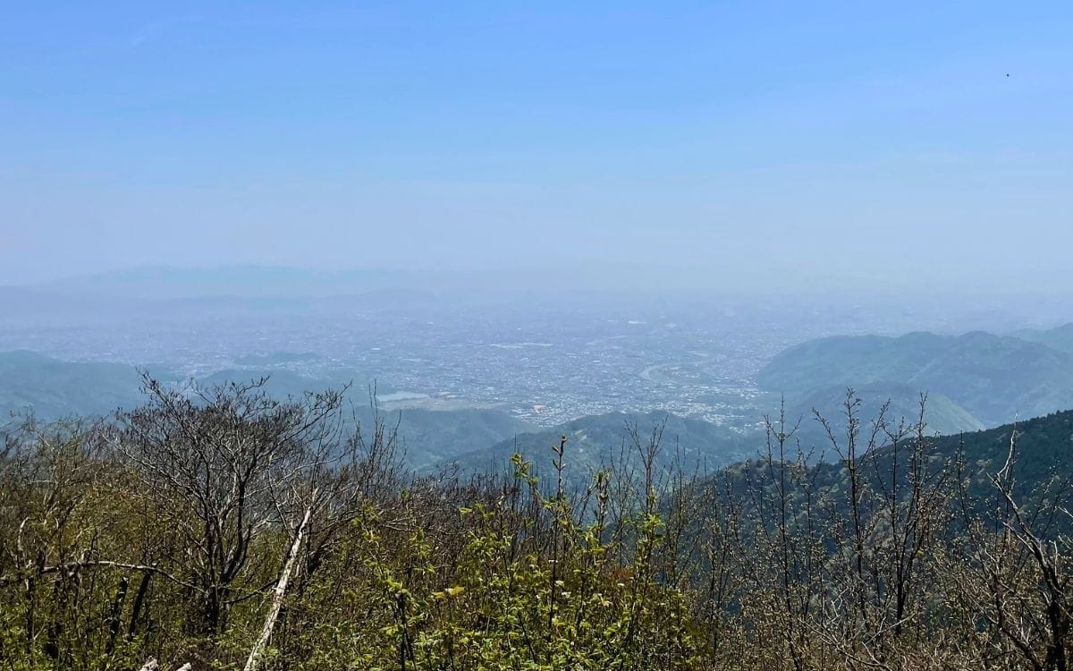Mt. Atago(愛宕山): Kyoto’s Scenic Spring Hike via Tsukinowadera(月輪寺)